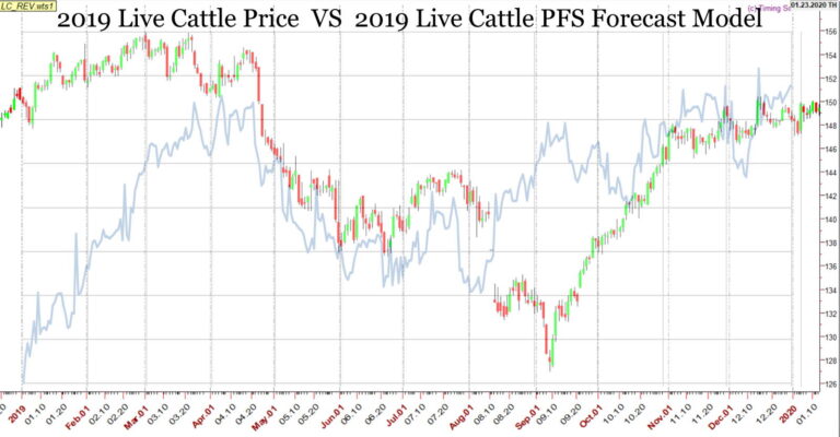 2024 Live Cattle Price Forecast and Strategy Bulletin - I Am In Wall Street
